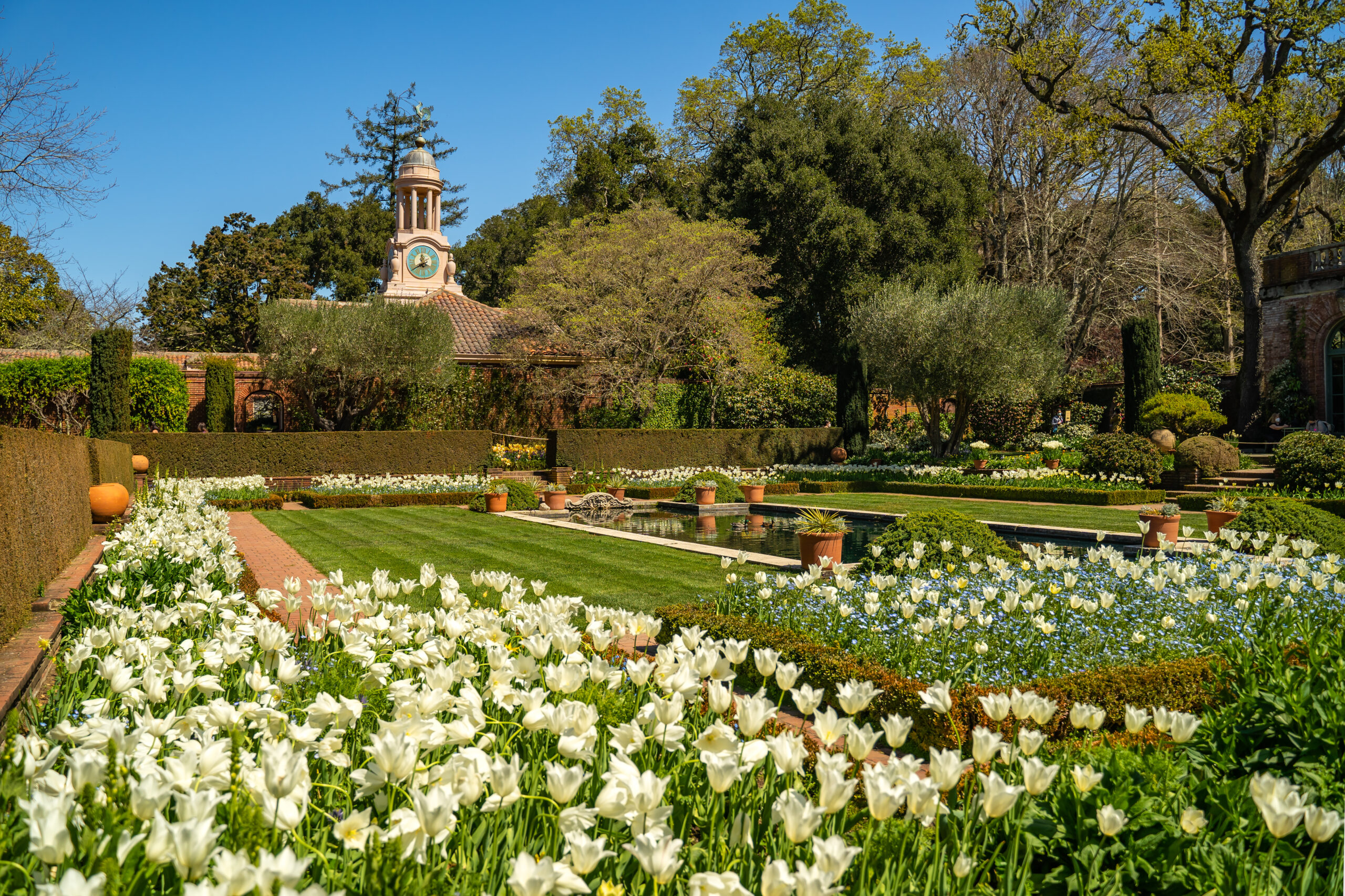 Visit Filoli Gardens - Park James